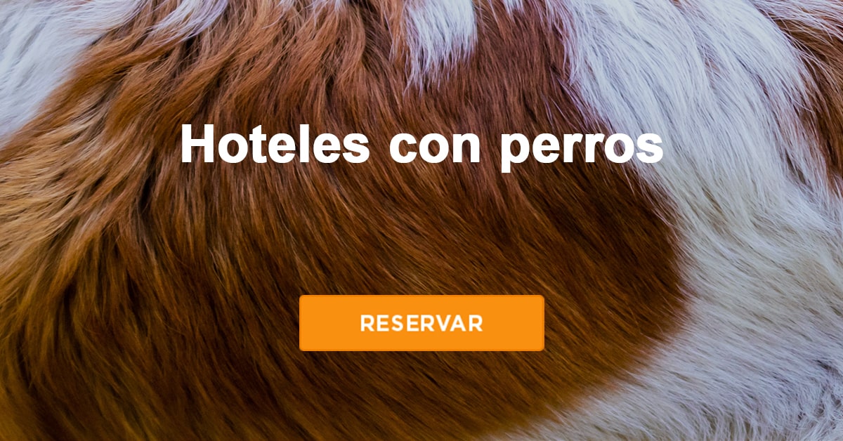 Reservar hoteles con perros al mejor precio - ¡Quehoteles!